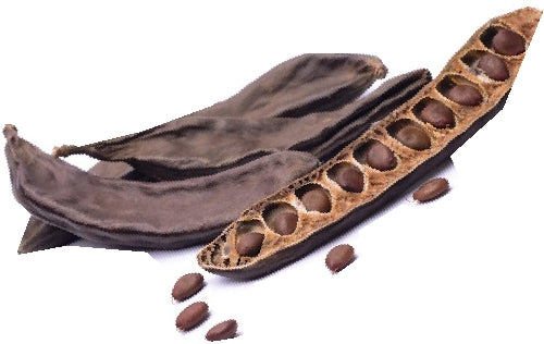 African Locust Bean Tree- Locust Beans | Jossiomi® – JossiomiAA